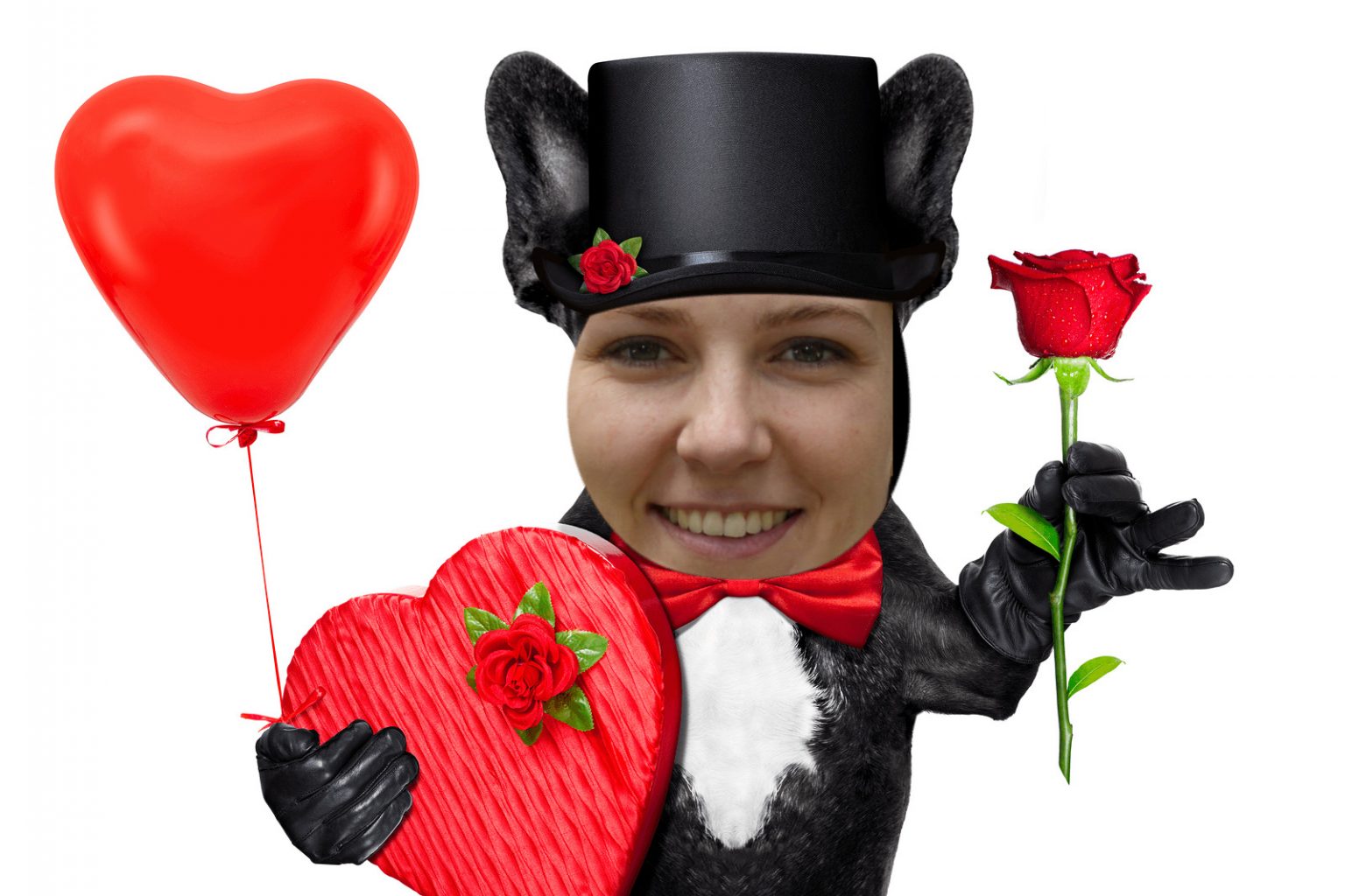 Annalyn Frame – Gallery Photos – Annalyn Frame